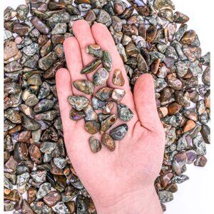 Tree Of Life Gems | Office | 4 Lb Tumbled Rainforest Rhyolite Jasper ...